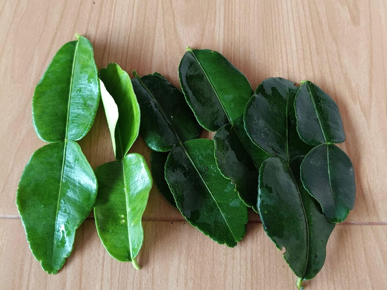 Belangrijke kruiden in de Indonesische keuken - Indonesisch Koken ...